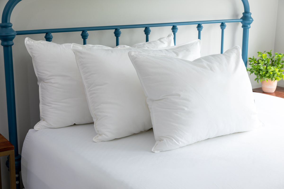 All Pillows – Snoozer Pillows